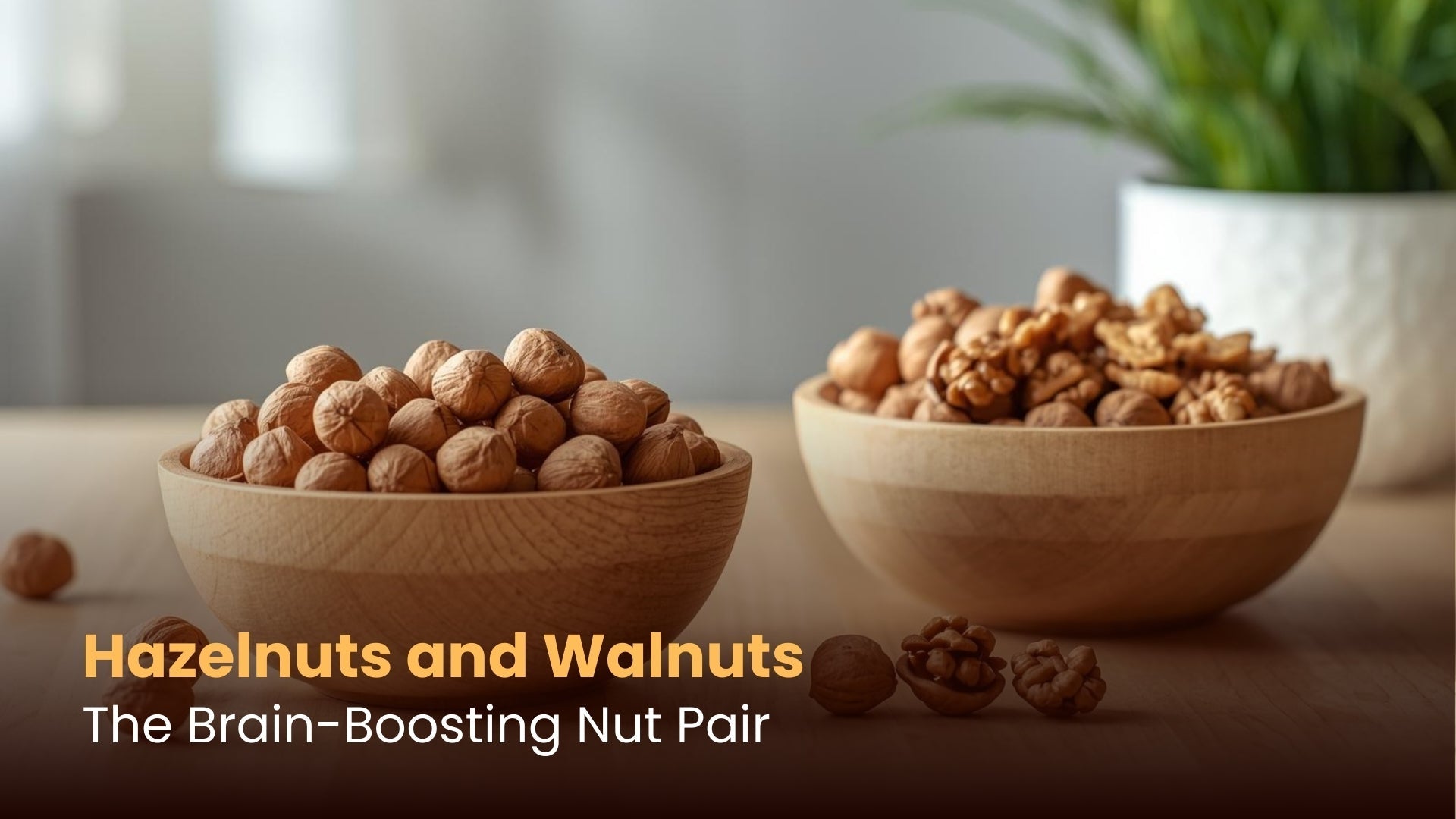 Hazelnuts and Walnuts: The Brain-Boosting Nut Pair