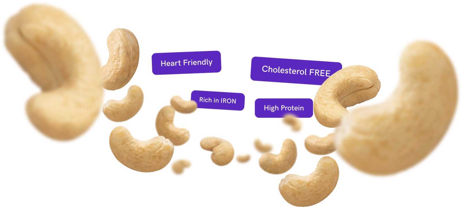Crunchy Everyday Munch Nuts - Buy Now | Krishival